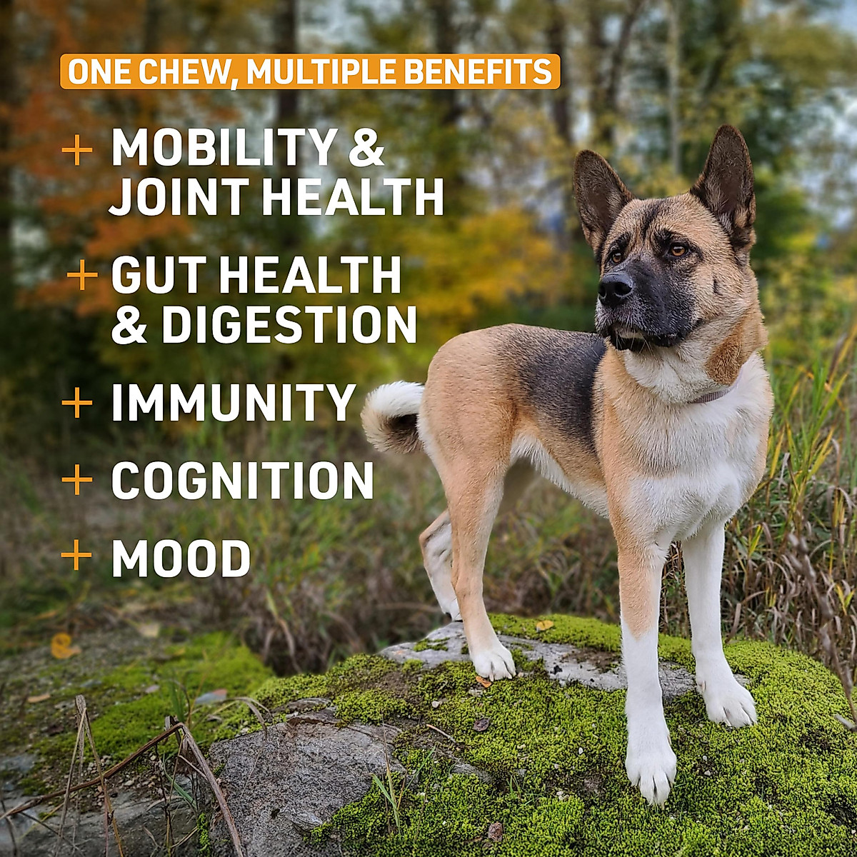 Veterinary Formula Smart Vitality Senior Support Supplement for Dogs - Soft Chews, 100ct - Support Healthy Joints, Skin, Gut, and Immunity with Glucosamine Chondroitin for Dogs