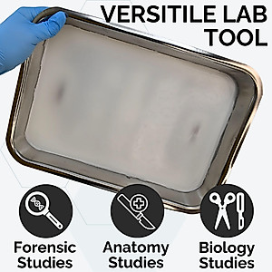 Eisco Labs - Metal Dissecting Tray with Wax, 12x9x2" - Stainless Steel Dissection Tray for Biology, Anatomy, Forensic Science & Specimen Pinning, Lab Dissection Trays, Wax-Lined Stainless Trays