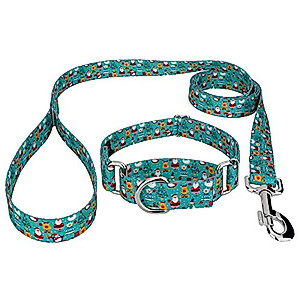 Country Brook Petz - Santa and Friends Martingale Dog Collar and Leash - Christmas Collection with 17 Festive Designs (5/8 Inch, Small)