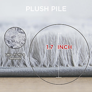 annadaif 4x6 Fluffy Area Rug for Living Room, Light Grey Fuzzy Area Rugs for Bedroom, Plush Shaggy Bedside Rug, Non-Skid Soft Carpet for Indoor Home, Nursery and Living Room Decor