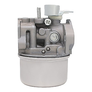 Carburetor for Briggs Stratton 791077 696981 698860 790182 694508 795069 698859 790180 790290 693865 697354 Craftsman Tiller Intek 190 6 HP 206 5.5hp Engine 120202 120212 120232