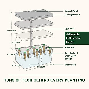 HORTUZZ Hydroponics Growing System, 8 Pods Indoor Herbs Garden with LED Grow Light for Plants, Smart Home Countertop Gardening for Lettuce Tea Cilantro Tomato Rosemary (Novo 8 Black)