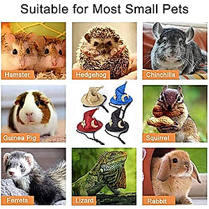 4 Pack Small Animal Halloween Wizard Hat with Elastic Chin Strap for Hamster Bearded Dragon Chinchilla Ferret Guinea Pig Cosplay Party Dress up Apparel Outfit (4 Pack)