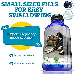 Healthy Animals 4Ever Supports Pregnancy, Boosts Lactation May Prevent Potential Pregnancy & Nursing Issues Safe, Caring, Natural Support Solution Fast Acting Formula Guarantee