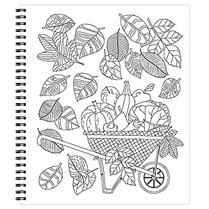 Large Print Easy Color & Frame - Garden (Stress Free Coloring Book)