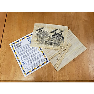 Discoveries Egyptian Imports Papyrus Activity Kit - Educational Papyrus Paper Craft Kit - Made in Egypt