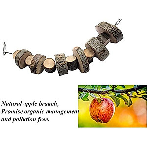 Fansisco Chinchilla Chew Toy Rabbit Chew Toys,Improve Dental Health,Molar Small Animals Toys Organic Apple Strings and Grass Sticks for Rabbits,Chinchillas,Guinea Pigs,Bunny,Hamsters Teeth Grinding