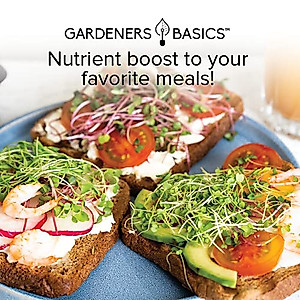 Broccoli Seeds for Sprouting Kit and Microgreens Non-GMO, Heirloom Bulk 1 Pound Resealable Sprouts Bag by Gardeners Basics