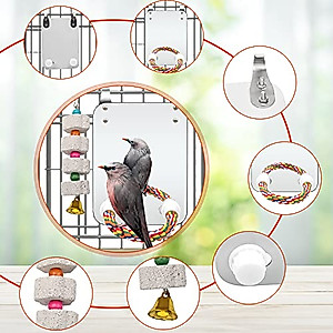 Catcan Bird Cage Mirror, Bird Mirror with Perch Rope for Cage Cockatiels Cotton Rope Standing Bar Parrot Mirror with Parrot Molar Toy Pendant