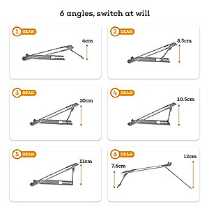 NOVOO Aluminum Laptop Stand, Ergonomic Laptop Riser 4 Angles Adjustable Computer Stand for Desk, Notebook Metal Holder Compatible with MacBook Air Pro, Dell XPS, HP, Lenovo More 10"-17" Laptops
