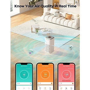 WELOV P200 PRO Air Purifiers with Pet Care Filter Bundle: Up to 1570 Ft² in 1 Hr With Air Quality Monitor, Smart WiFi, Alexa Control