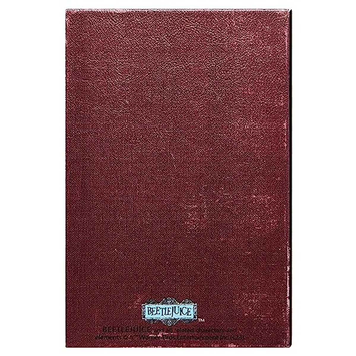 Spirit Halloween Beetlejuice Handbook for The Recently Deceased Trinket Box | Officially Licensed