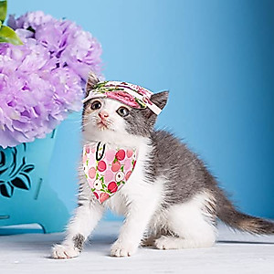 3 Pieces Dog Baseball Cap Bandanas Set, Included 1 Adjustable Dog Sun Protection Hat with Ear Holes and 2 Pink Doggie Summer Cat Bandana Puppy Summer Costume Supplies for Small Dogs Puppies Pet, Small