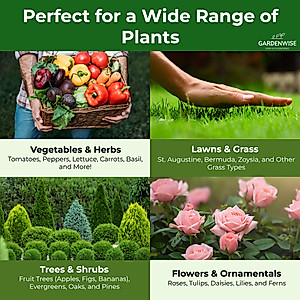 10-10-10 Plant Fertilizer Slow Release – 10 10 10 All Purpose Granular Garden Fertilizer for Fruit Trees, Evergreens, Vegetables, Arborvitae, Fig Trees, Shrubs, Pines, Oaks, Flowers (1 Quart)