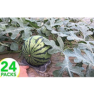 Plastic Melon Support Cradle for Watermelon-Pumpkin-Squash - Holds up to 20 lbs(24 PCS)