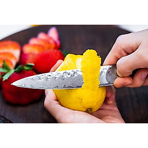 3 Piece Damascus Kitchen Knife Set - including Chef's Knife, Cleaver and Paring Knife