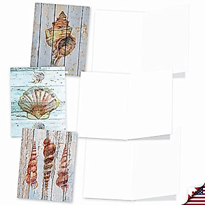 The Best Card Company - 10 Blank Note Cards with Envelopes (4 x 5.12 Inch) - Bulk All Occasion Cards Boxed - Seashell Driftwood AM6118OCB-B1x10