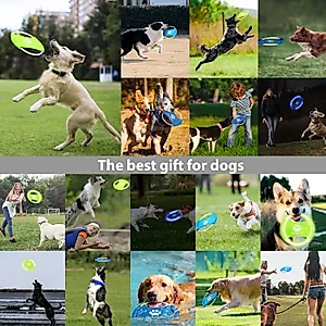 ZZYHSYXL 7 Inch Light Up Dog Flying Discs, 2 Pack Outside Dog Toys with 3 Light-Emitting Modes, Dog Flying Ring Toys for Physical Exercise, Outdoor Sports - Green Blue