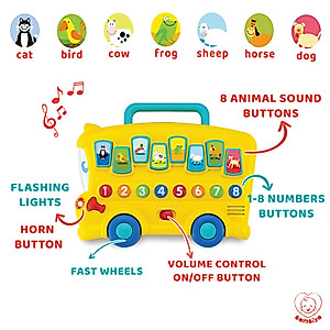 Animal Sounds Bus for Babies 6 Months Old & Up with Lights, Music, Numbers, Volume Control & More - Educational Baby Musical Toys