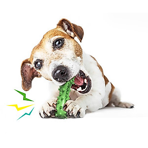 Averxia - Dog Toys, Squeaky Dog Toy, Puppy Chew Toys for Teething, Dog Toys for Aggressive Chewers - for Small, Medium, Large Dogs