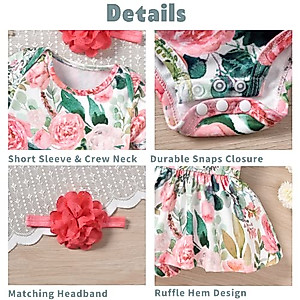 Aalizzwell Preemie Baby Girls Spring Summer Clothes Premature Floral Bodysuit Dress Outfit