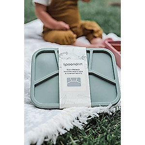 Spoondrift Eco-Friendly Leak Proof Silicone Bento Box Lunch Box, For Child And Adult, 4 Compartment, Choose from 6 Colors, Includes one box (Sage)