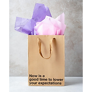 MilkToast Brands Funny Snarky Gift Bag Set, 5 Pieces, Inappropriate Snarky Birthday Gift Wrapping