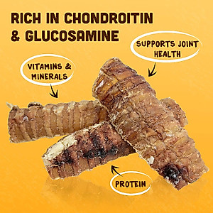 Downtown Pet Supply - Beef Trachea Dog Treats - Bully Sticks Alternative - Dog Dental Treats & Rawhide-Free Dog Chews - Glucosamine, Chondroitin, Protein, Vitamins & Minerals - 3in - 18Ct