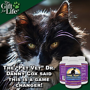 The Gift for Life Feline: Prrr-fect Wellness - Your Pet's Fountain of Youth!