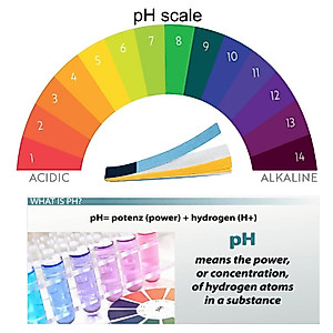 pH Test Strips 200 Strips Range pH 1-14 Test Paper Extensive Test Paper (200 Strips with Strong Storage case, Dropper Included)