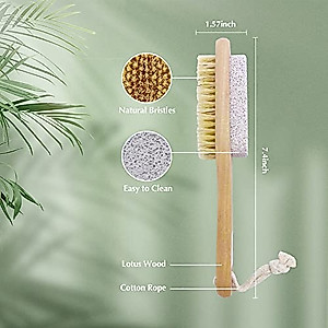 CARELAX Back Scrubber Brush,Long Handle Bath Brush for Shower, Soft but Stiff Shower Bristles and Pumice Stone Brush, Body Exfoliating Brush for Wet or Dry Brushing