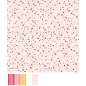 Barn Star Sampler: 20 Starry Blocks and 7 Spectacular Quilts