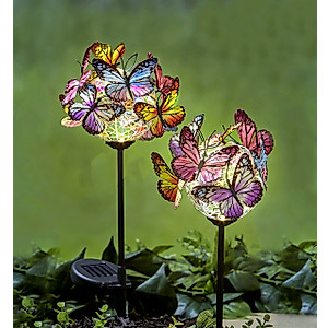 Garden Solar Light Butterflies Decor - [2 Pack] Butterfly Waterproof LED Solar Power Stake Light for Garden,Lawn,Patio or Courtyard Decorations - Outdoor Landscape Path Light (Multi-Color)
