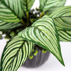 Artificial Plants & Greenery,Green Artificial Potted Plants,Artificial Greening Plants,Artificial Plant Trees,for Garden and Home Decoration,Dining Table,Room,Office,Courtyard and Other Indoor…