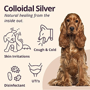 Glacier Peak Holistics Colloidal Silver - Natural Antibiotic Spray for Dogs & Cats, Internal & External for Anti-Itch and Infection in Pets - 2oz