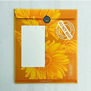 Freshcut Paper Pop Up Cards, Paper Flower Bouquet 3D Popup Greeting Cards with Note Card & Envelope, Birthday Card, Anniversary Card, Get Well Gifts for Women, 12" Sunflowers