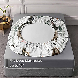 LUVIVIHOME 4PCS Woodland Animals Sheets Set, Queen Bed Sheets, White Sheets, Boys Girls Kids Bedding, Bear Deer Fox Forest Animal Lodge Cabin Bedding Set, 1 Fitted Sheet & 1 Flat Sheet & 2 Pillowcases