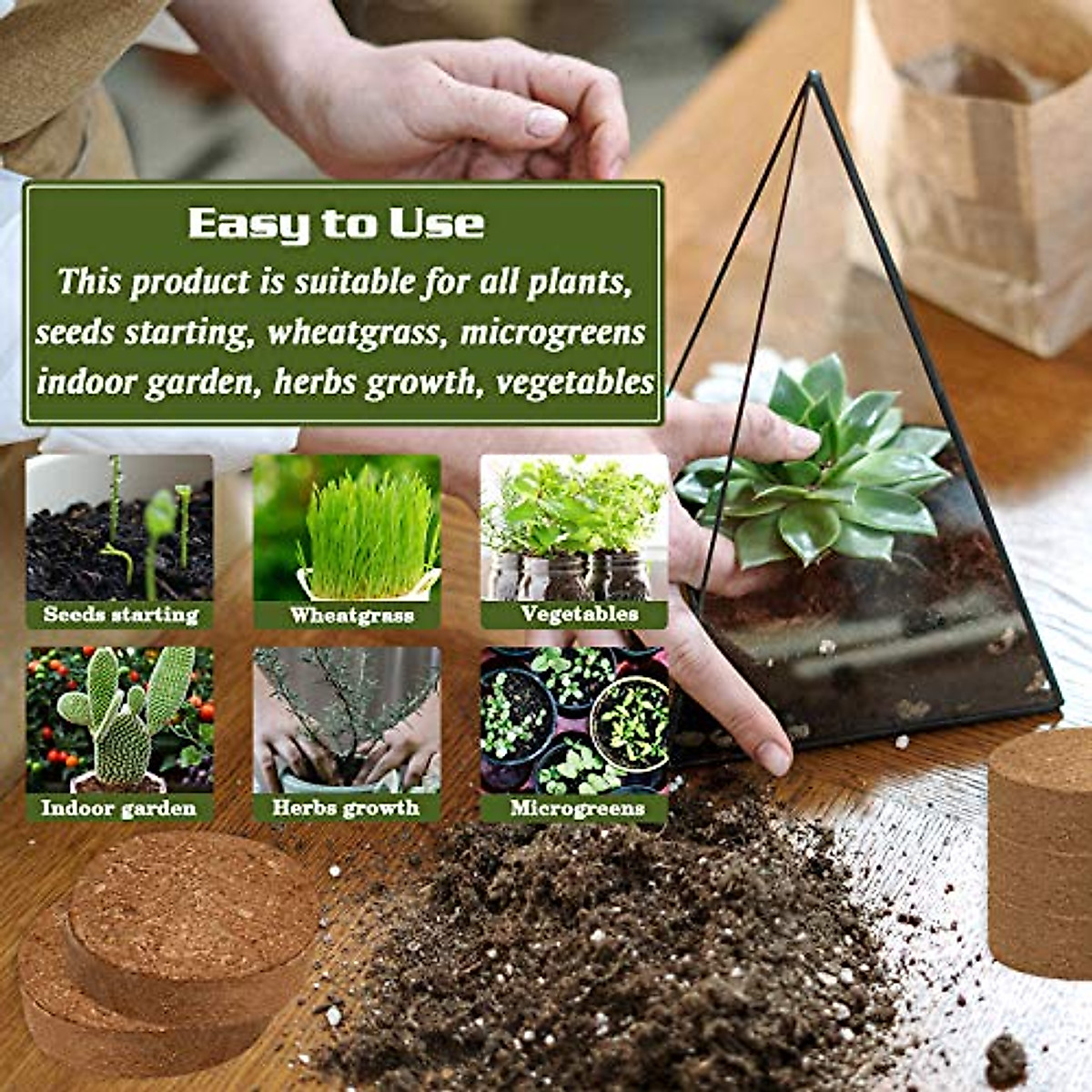 ZeeDix 50pcs(30mm) Compressed Coco Coir Fiber Potting Soil- Coir Medium, Coconut Soil for Indoors or Outdoors, Bonsai, Herbs, Plants, Flowers and Vegetables