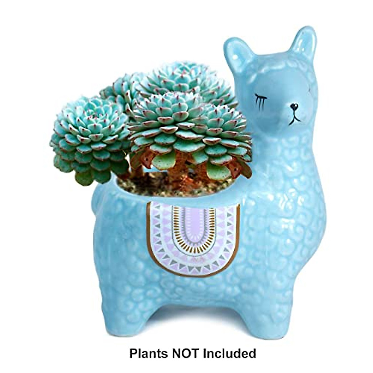 Dahlia Cute Llama Ceramic Succulent Planter/Plant Pot/Flower Pot/Bonsai Pot, Sky Blue