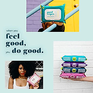 Goodwipes Flushable & Plant-Based Wipes with Botanicals | Dispenser for At-Home Use | Variety Pack with Aloe Septic and Sewer Safe | 240 count (4 packs) - Biggest Adult Wipes