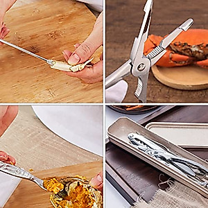 3sets/6pcs Nuts Pecan Picnic With, Case & for Crackers Shellers, Open Storage Including Shellfish Peel Utensils Nut/Steel Accessories Opener and Leg Shell Lobster Tools