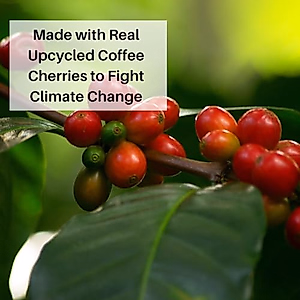 Bake Me Healthy Dark Chocolate Fudgy Brownies Mix - Gluten-Free, No Refined Sugar, Top 9 Allergen-Free, Plant-Based Vegan Brownie Mix - Makes 12 Mouthwatering Brownies - Pack of 2 (14.6 oz/415g Each)