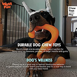 West Paw Zogoflex Bumi Dog Tug Toy – S-Shaped, Lightweight Chew Toys for Fetch, Play, Pet Exercise – Tug of War Soft Flinging Squishy Chewy Toy for Dogs – Guaranteed, Latex-Free, Large 9.5", Aqua Blue