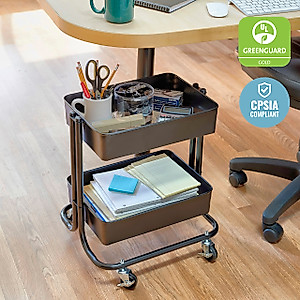 ECR4Kids 2-Tier Rolling Utility Cart, Multipurpose Storage, Black