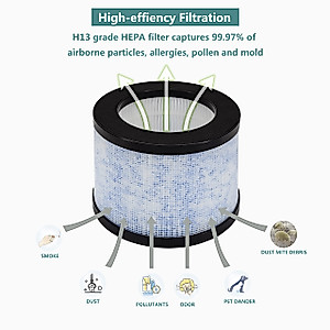 True HEPA Replacement Filter, Air Filter Replacement Compatible with Intelabe EP1080 Air Purifier, 2 Pack