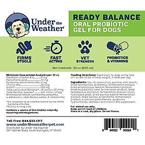 Under the Weather Pet | Ready Balance for Dogs | Oral Probiotic and Prebiotic Gel