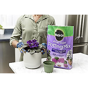 Miracle-Gro African Violet Potting Mix, 8qt, 2-Pack