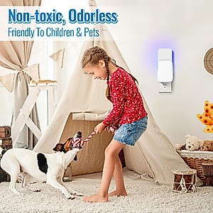 Qualirey 30 Pack Flying Insect Trap Refill Compatible with Mosalogic Fly Traps, Insect Trap Glue Board Refills, Replacement Sticky Glue Cards for Insect Bug Mosquito Gnat Fruit Fly Trap Indoors, Gray