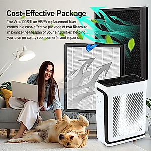 Vital 100S Replacement Filter Compatible with LEVOIT Vital 100S Air Purifier, 3-in-1 H13 Ture HEPA High-Efficiency Activated Carbon Filters Replace Vital 100S-RF (2 Pack)