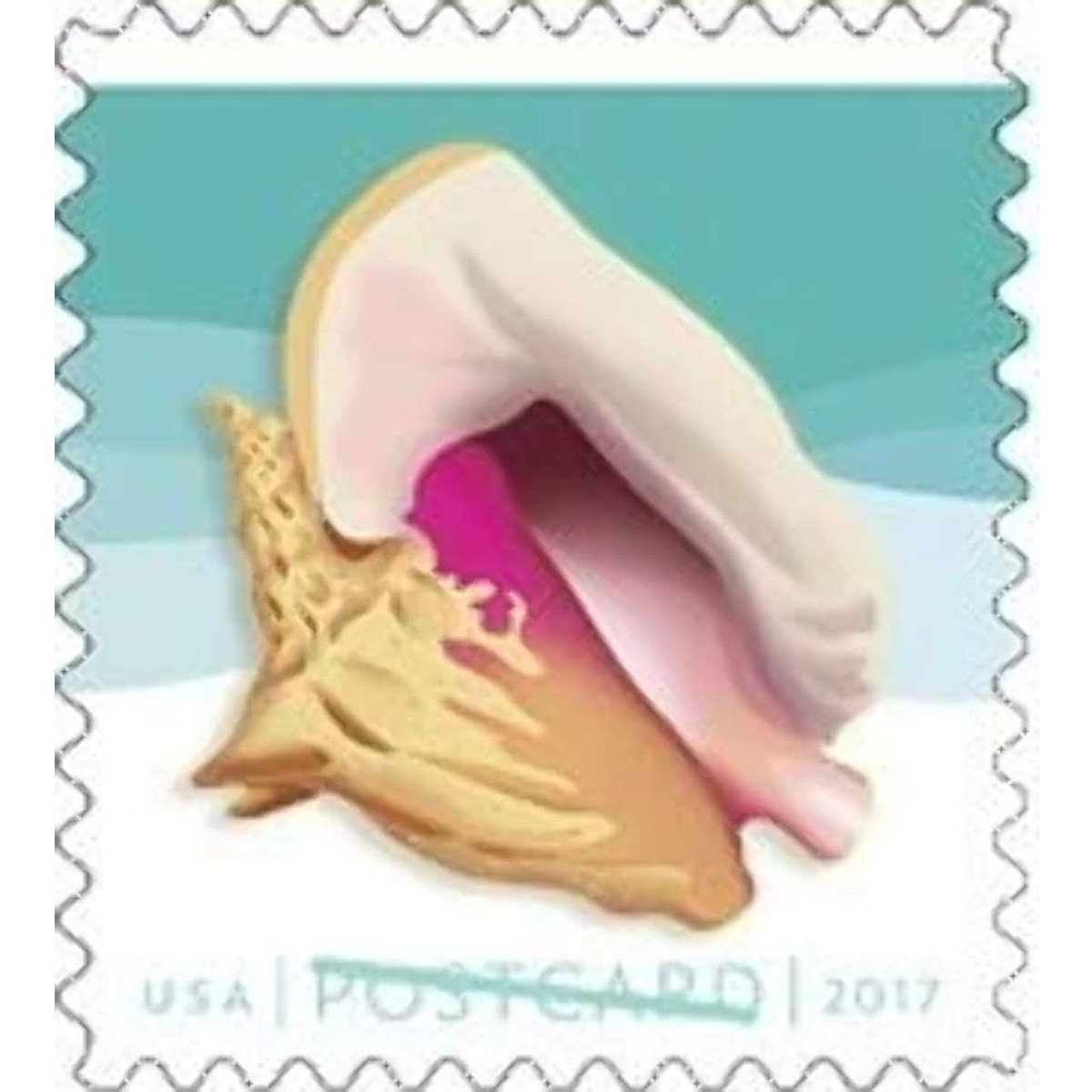 USPS Seashells Postcard Stamps, Roll of 100